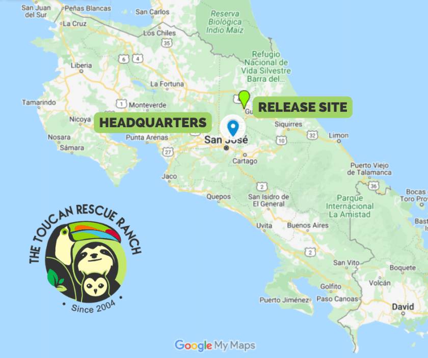 Animal Husbandry & Zookeeping Internship - Toucan Rescue Ranch