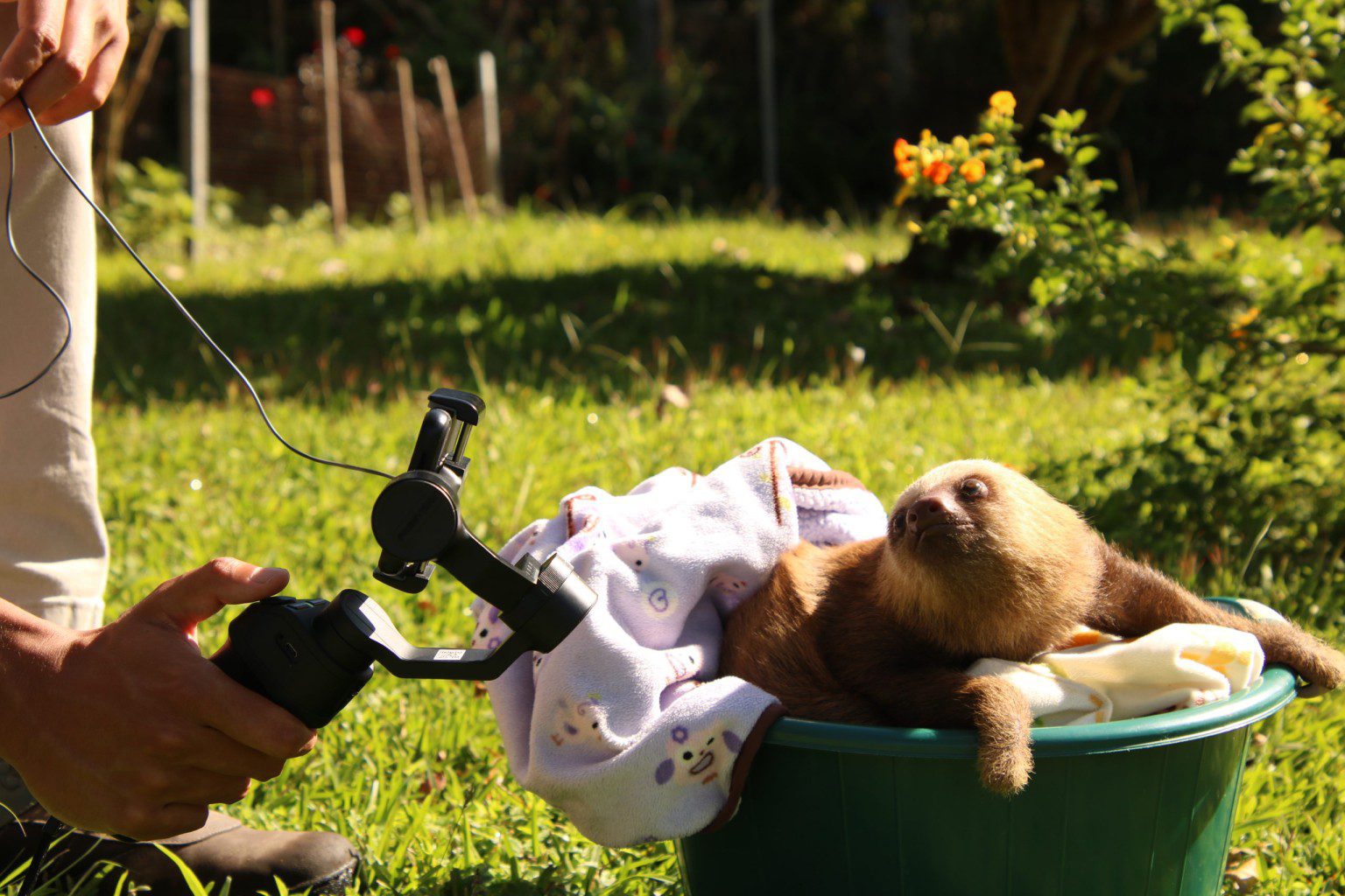 10 Reasons to Visit a Wildlife Sanctuary Instead of a Normal Zoo ...