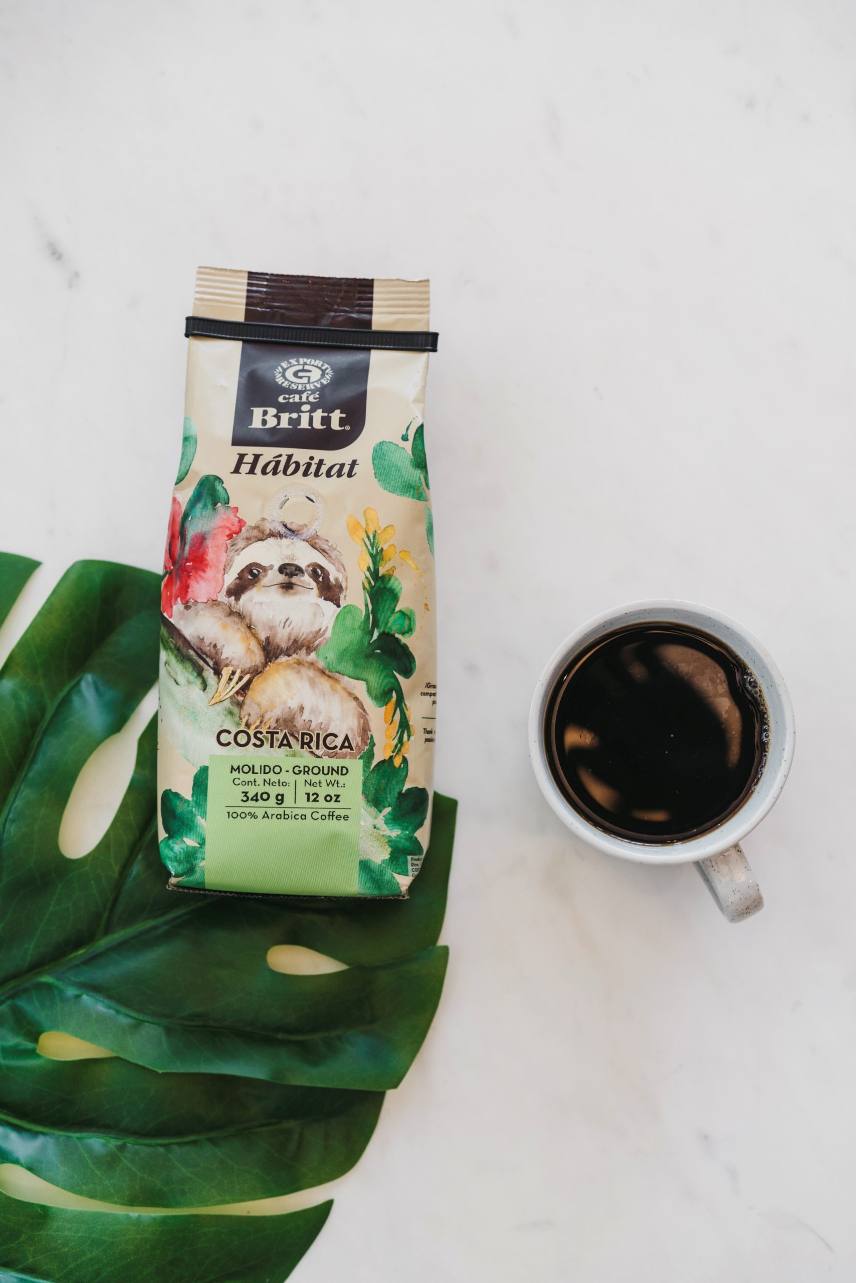 The Best Things to do When Visiting Costa Rica from a Costa Rican ...