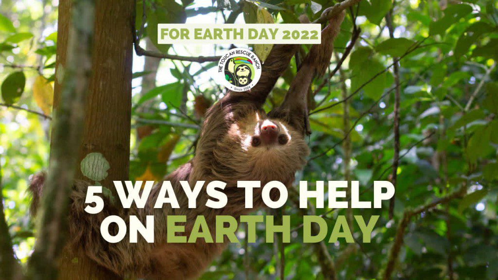 5 Ways to Help Planet Earth for Earth Day - Toucan Rescue Ranch