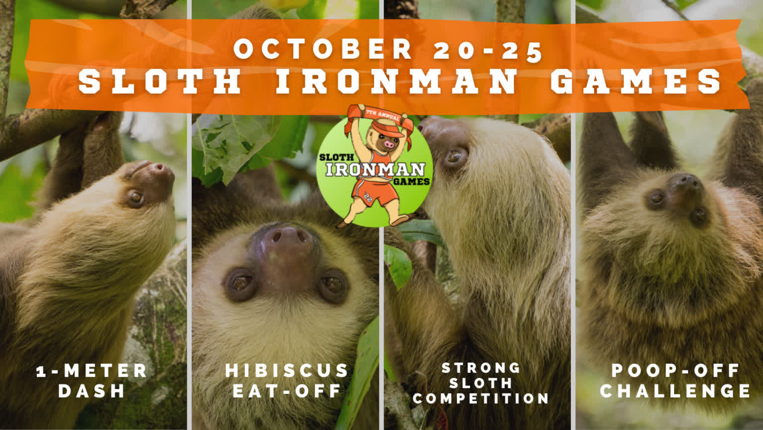 October is International Sloth Month! Join us for the 7th Annual Sloth ...