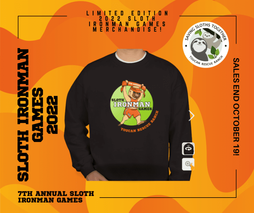 4 Reasons You Should Love Sloths - Toucan Rescue Ranch