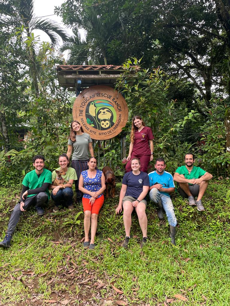 The New & Improved Release Site SURVIVAL GUIDE for Interns! - Toucan ...