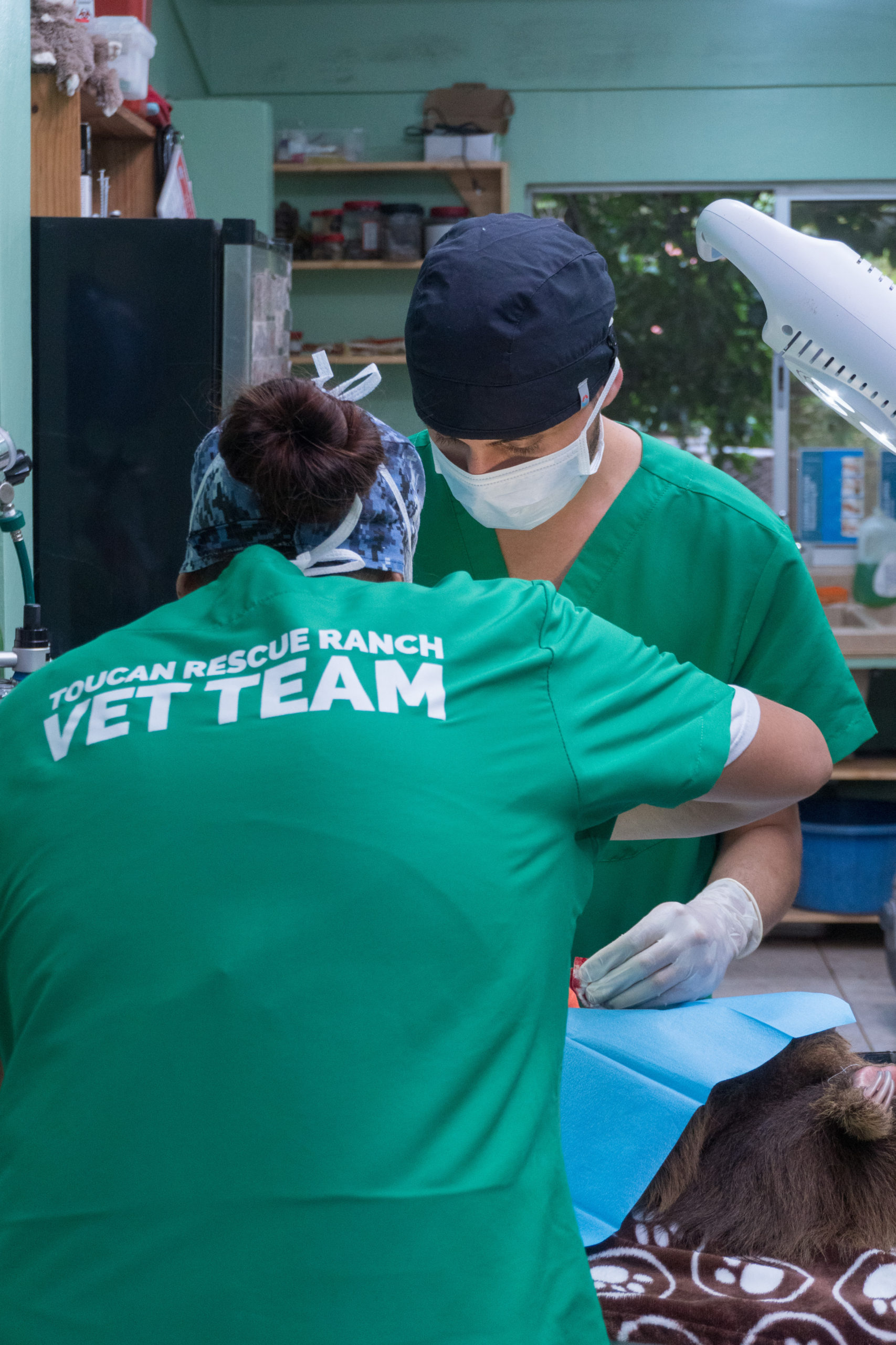 Giving Tuesday is the perfect day to show your support for Toucan ...