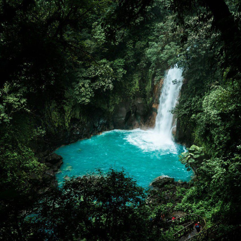 5 Irresistible Reasons to Visit Toucan Rescue Ranch This Month ...