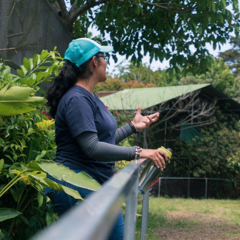 5 Irresistible Reasons to Visit Toucan Rescue Ranch This Month ...