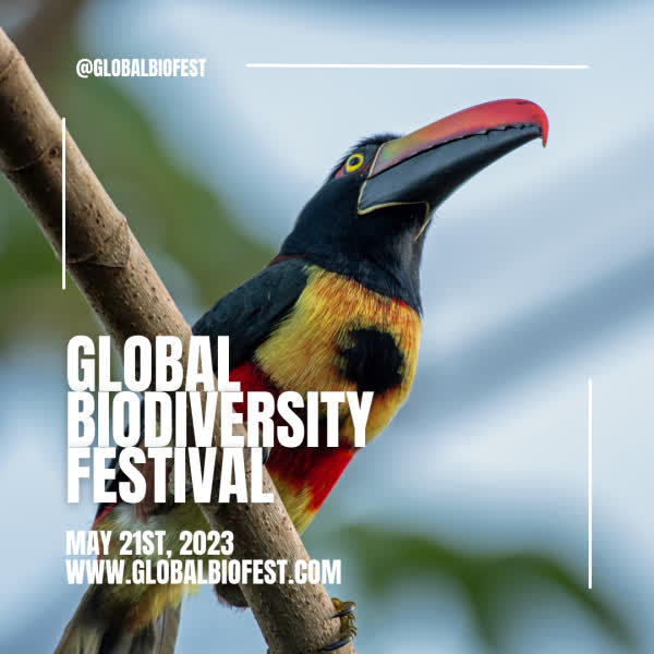 Celebrating Nature's Wonders and Inspiring Conservation: Join Us at the ...