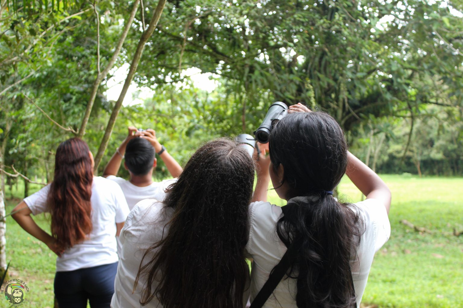 Join the Change: Volunteer Now! - Toucan Rescue Ranch