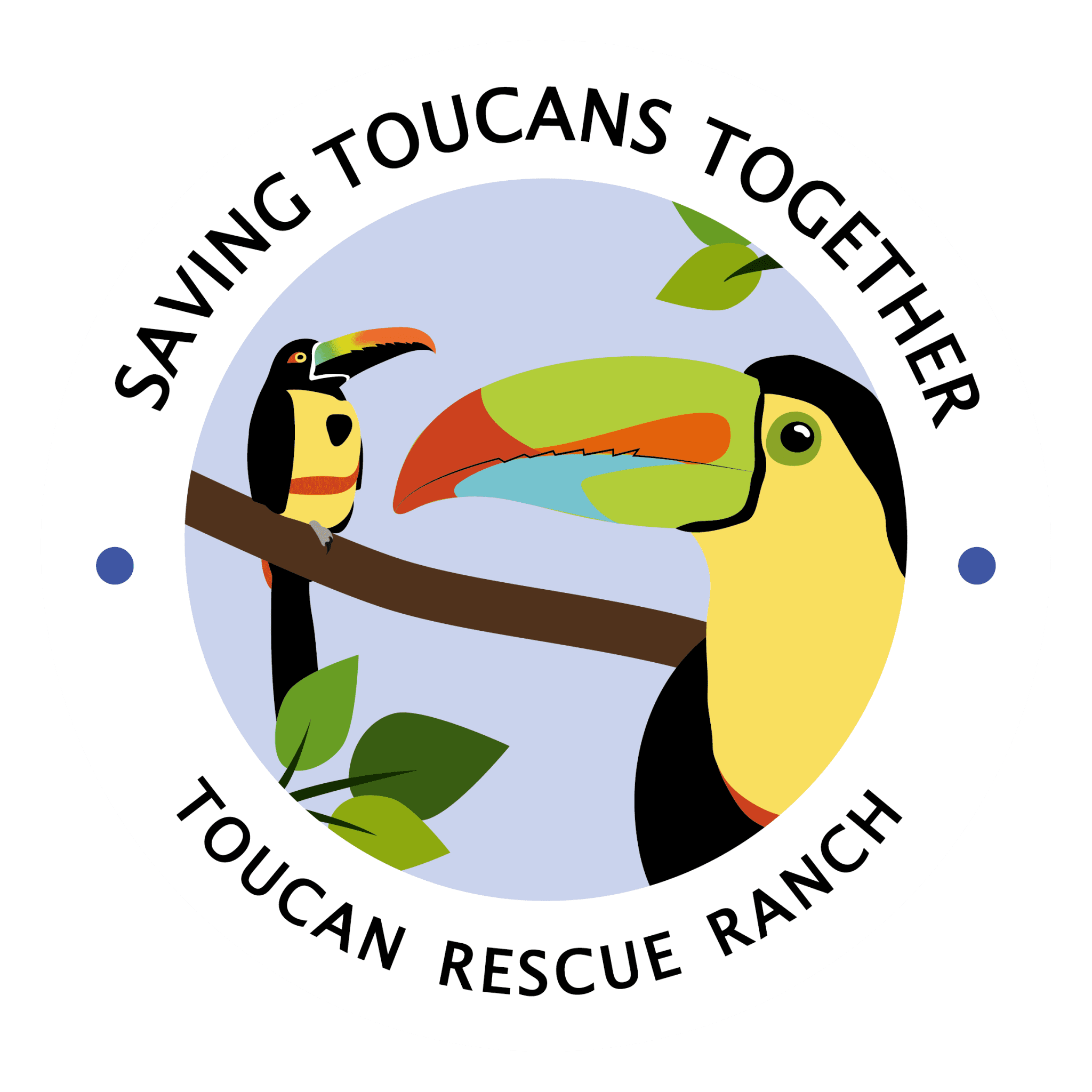Saving Toucans Together - Toucan Rescue Ranch