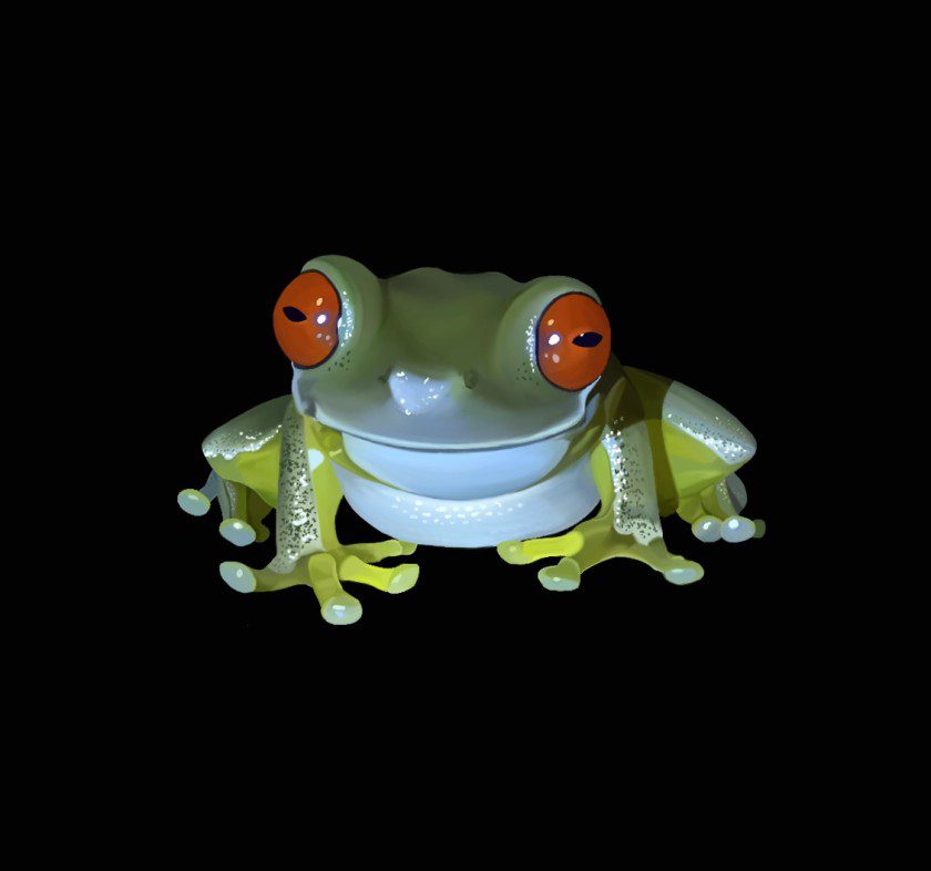 Call for Artists 2024 Artwork Gallery - Toucan Rescue Ranch