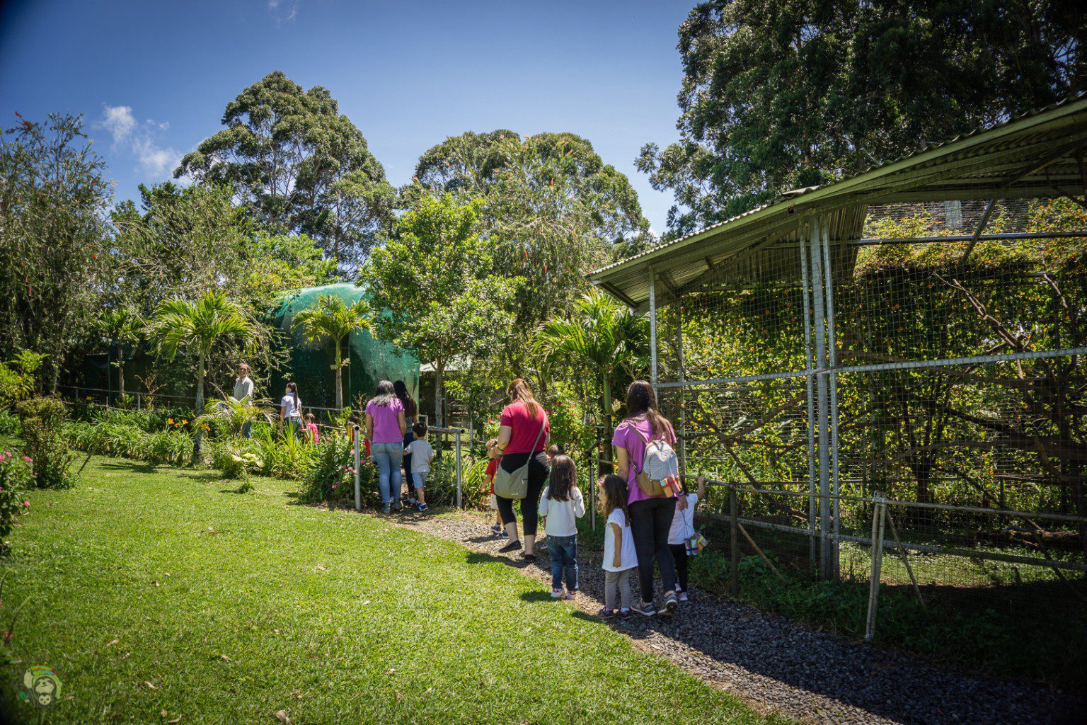 Tours - Toucan Rescue Ranch